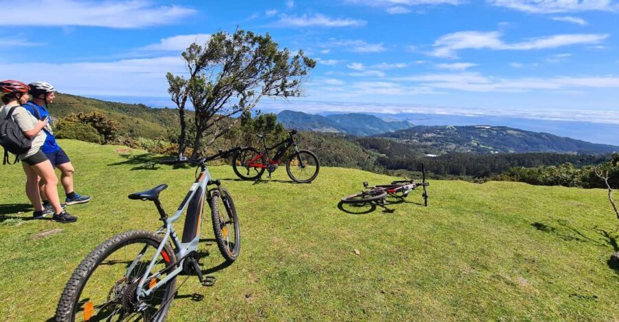 Camacha: Levada Trail e-Bike Guided Tour - Key Points