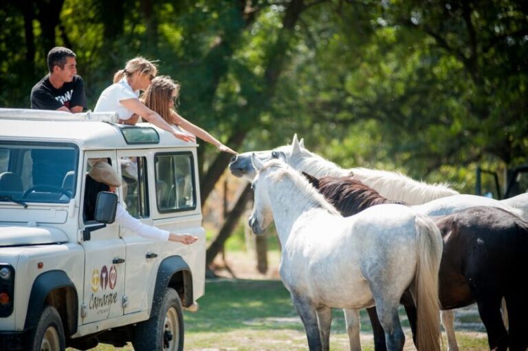 Camargue: Half-Day 4x4 Guided Safari Adventure - Who Will Love This Tour?