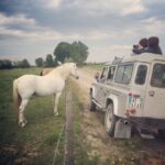 Camargue: Safari from Saintes-Maries-de-la-Mer - Transportation and Group Size