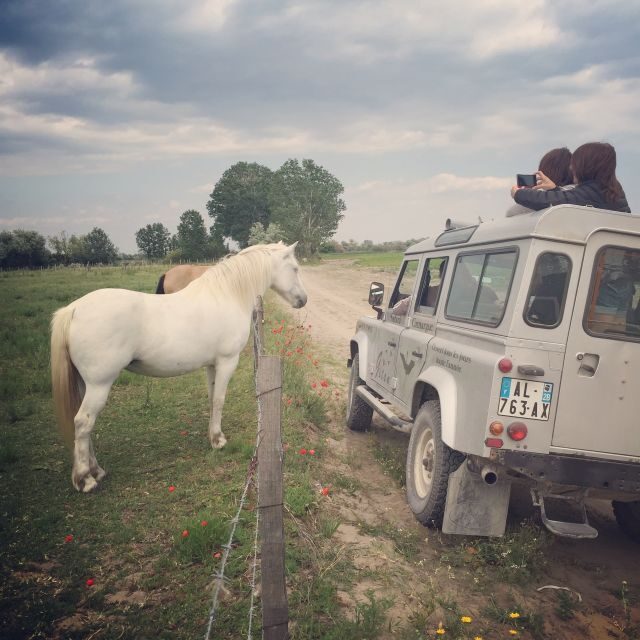 Camargue: Safari from Saintes-Maries-de-la-Mer - Transportation and Group Size