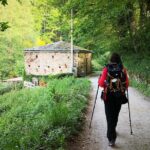 Camino de Santiago French from Sarria to Santiago de Compostela - Exploring the Route: What to Expect Each Day