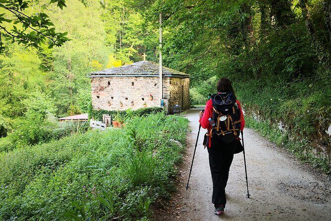 Camino de Santiago French from Sarria to Santiago de Compostela - Exploring the Route: What to Expect Each Day