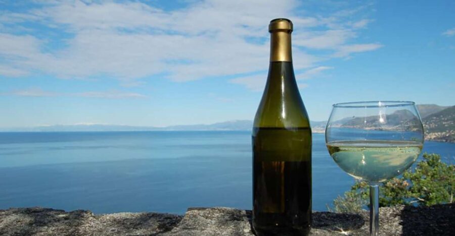 Camogli: Ligurian Wine Tasting Experience - The Practicalities: What You Get and What You Don’t