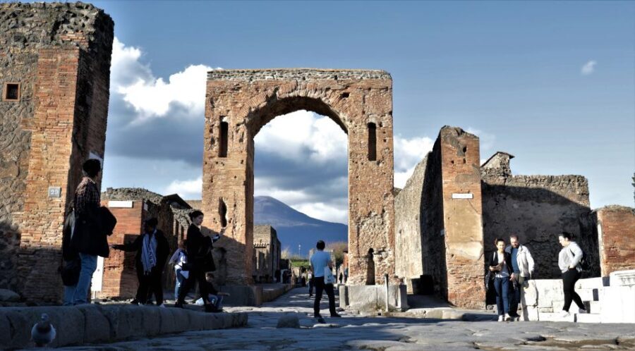 Campania Express Train Pompeii Tour with Vesuvius or Winery - Who Will Love This Tour?
