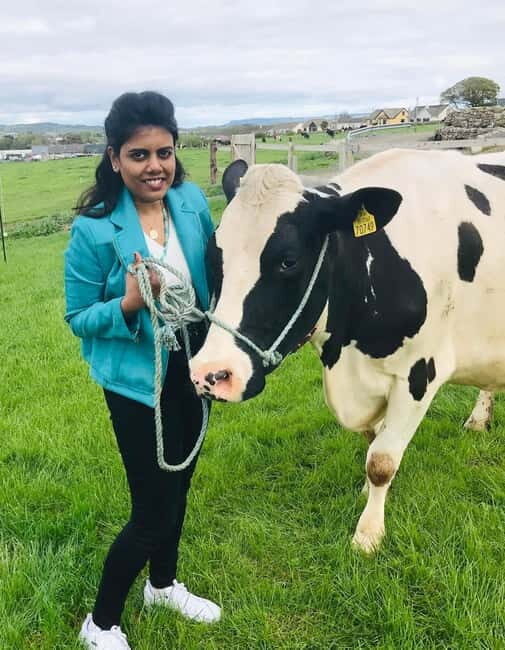 Campview Farm, Ballyshannon: Cuddle a Cow Experience - Detailed Itinerary Breakdown