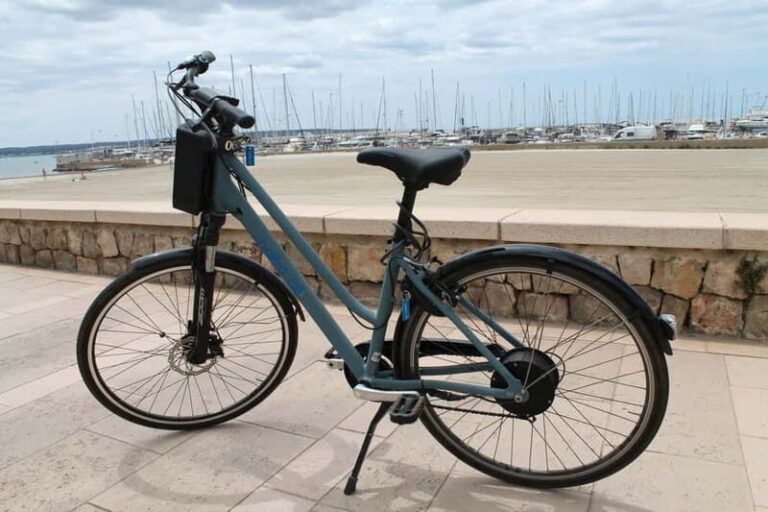 Can Pastilla: E-Bike Rental - Who Will Love This Experience?