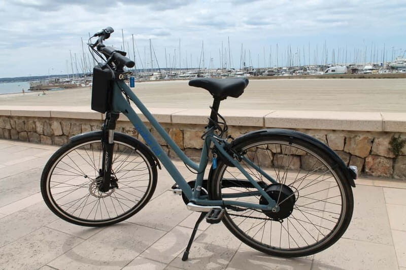 Can Pastilla: E-Bike Rental - Who Will Love This Experience?