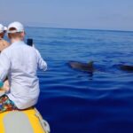 Can Picafort: Dolphin Watching Boat Tour with Swimming - An Authentic Look at the Experience