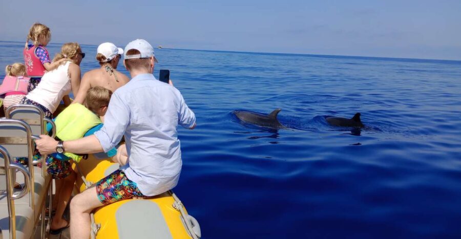 Can Picafort: Dolphin Watching Boat Tour with Swimming - An Authentic Look at the Experience