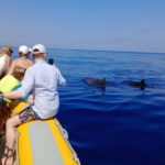 Can Picafort or Alcudia: Private boat dolphin watching - Authentic Traveler Insights & Reviews