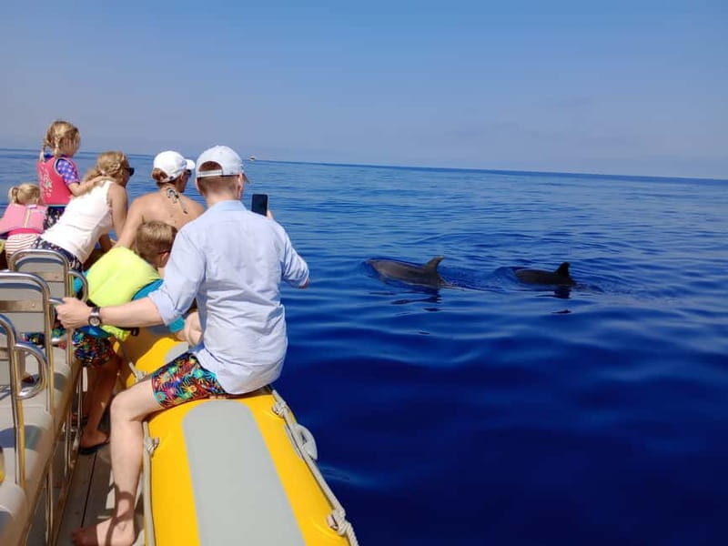 Can Picafort or Alcudia: Private boat dolphin watching - Authentic Traveler Insights & Reviews