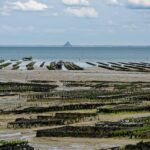 Cancale: Private Guided Walking Tour - Final Thoughts: Who Will Love This Tour?