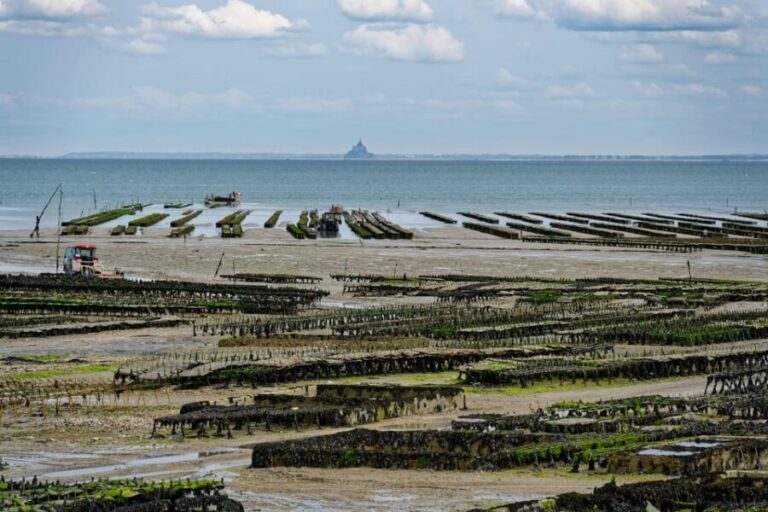 Cancale: Private Guided Walking Tour - Final Thoughts: Who Will Love This Tour?