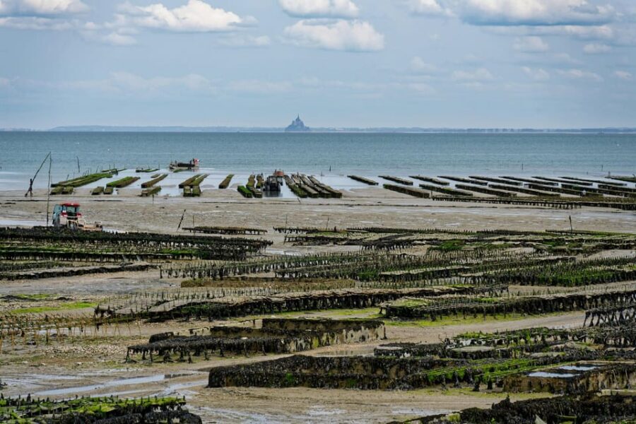Cancale: Private Guided Walking Tour - Final Thoughts: Who Will Love This Tour?