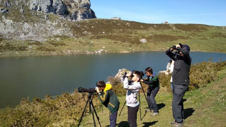 Cangas de Onís: Lakes of Covadonga Guided Tour - The Practicalities: Pricing, Inclusives, and Group Size