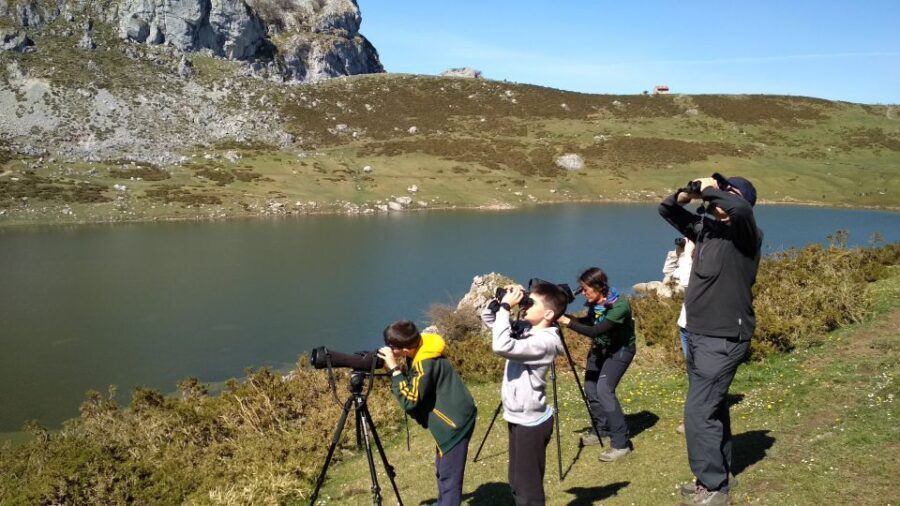 Cangas de Onís: Lakes of Covadonga Guided Tour - The Practicalities: Pricing, Inclusives, and Group Size