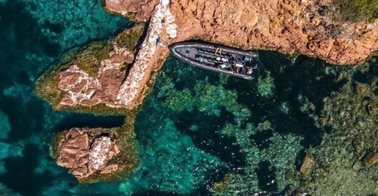 Cannes: 2.5-Hour Esterel Calanques Boat Excursion - Authentic Insights from Travelers