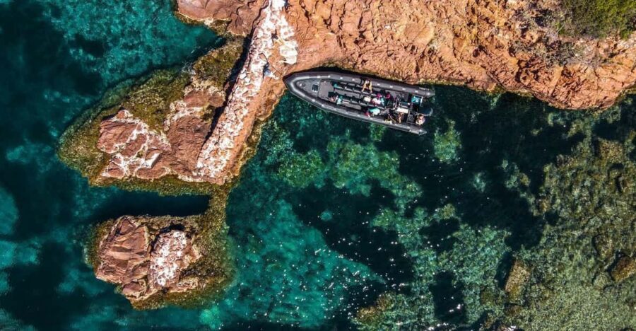 Cannes: 2.5-Hour Esterel Calanques Boat Excursion - Authentic Insights from Travelers