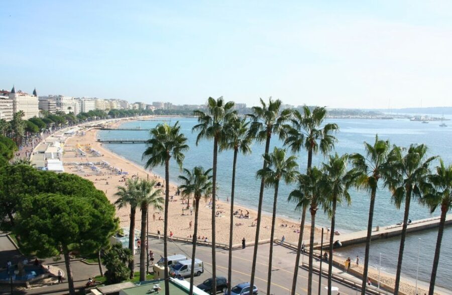 Cannes & Grasse: Private Half-Day Shore Excursion - Practical Details and Value