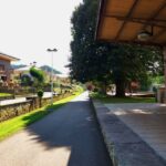 Cantabria: El Castillo Caves & Paleolithic Art - What’s Included and What You Need to Know Before Booking