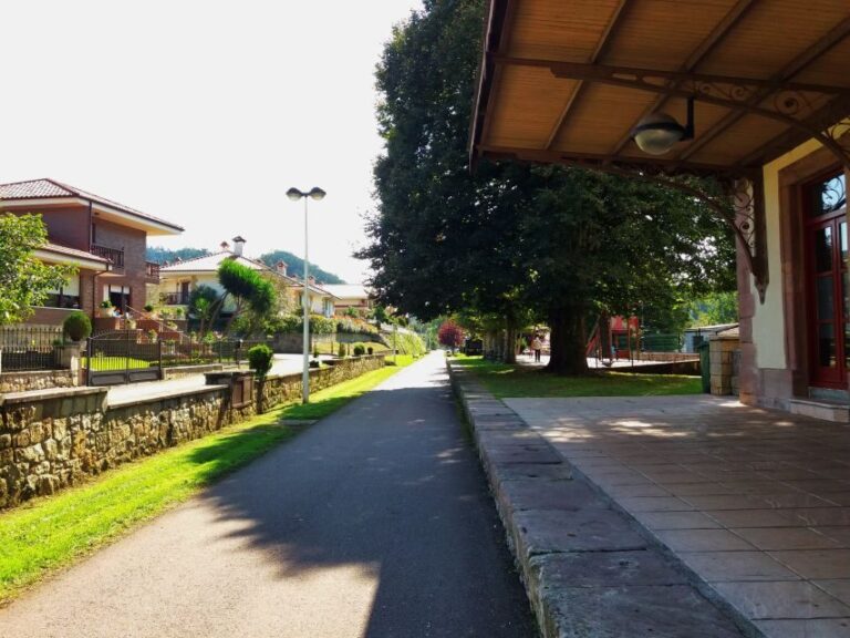 Cantabria: El Castillo Caves & Paleolithic Art - What’s Included and What You Need to Know Before Booking