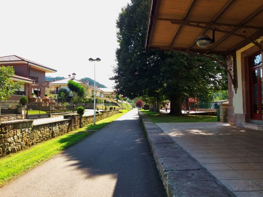 Cantabria: El Castillo Caves & Paleolithic Art - What’s Included and What You Need to Know Before Booking