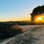 Canyamel: TimeForTwo, fun game,quiz and walk in nature - Why Choose This Tour? Who Is It For?