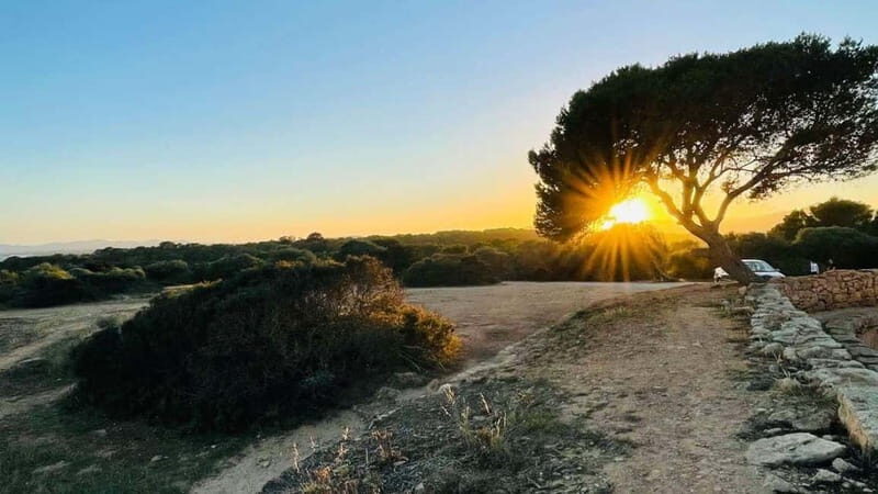 Canyamel: TimeForTwo, fun game,quiz and walk in nature - Why Choose This Tour? Who Is It For?