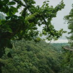 Canyons and Cave tour from Kutaisi - Analyzing the Experience