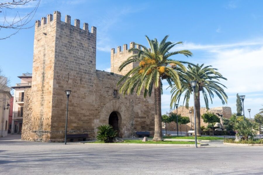 Cap de Formentor: Market, Beach, and Alcudia Tour - The Practicalities and Value