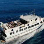 Capo d'Orlando: Mini-cruises to Salina Panarea and Stromboli - Practical Details and Value
