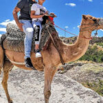 Cappadocia: Camel Safari - The Itinerary & What to Expect