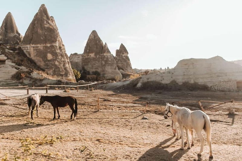 Cappadocia: Horse Riding Tour with Hotel Transfer - Why This Tour Offers Great Value