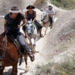 Cappadocia Horseback Riding Tour - Practical Tips for Your Ride
