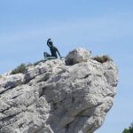 Capri Island, Blue Grotto and Positano Day Tour from Naples - The Sum Up