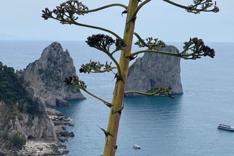 Capri Private Boat Tour at Sunset from Capri (2 hours) - Why This Tour Stands Out
