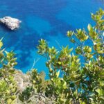 Capri Private Full Day Tour from Rome - What Travelers Say