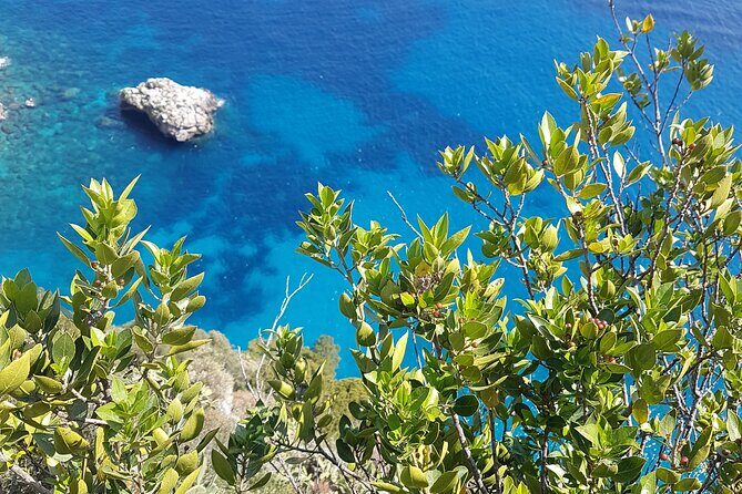 Capri Private Full Day Tour from Rome - What Travelers Say