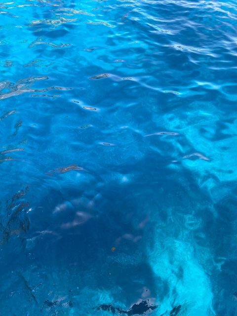 Capri: Tour of the island with caves and Faraglioni - Authentic Details from Travelers