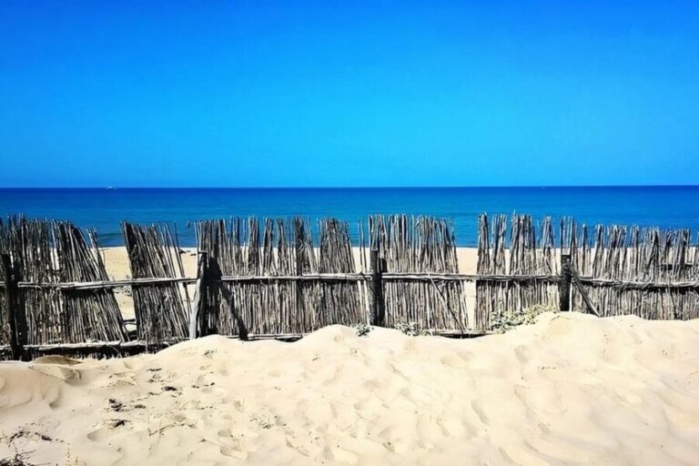 Car/Minivan tour from Syracuse to the most beautiful beaches - Why This Tour Works