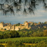 Carcassonne Small Group Half-day tour from Toulouse - The Practical Side: What Matters