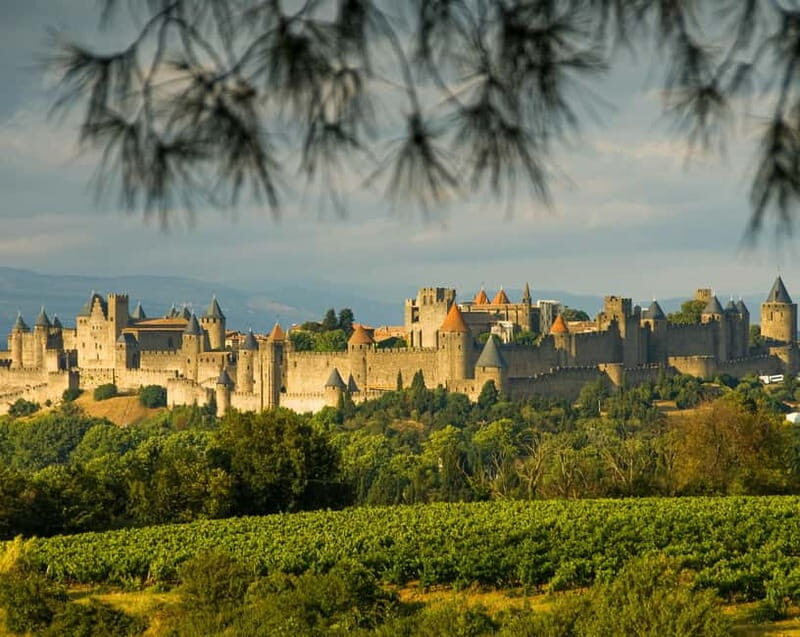 Carcassonne Small Group Half-day tour from Toulouse - The Practical Side: What Matters