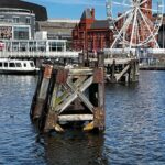 Cardiff Bay Private Self-Guided Tour - Value for Money and Practical Details