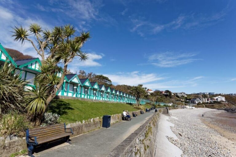 Cardiff: Gower Peninsula's Cliffs & Bays Scenic Day Tour - Optional Relaxation & Return