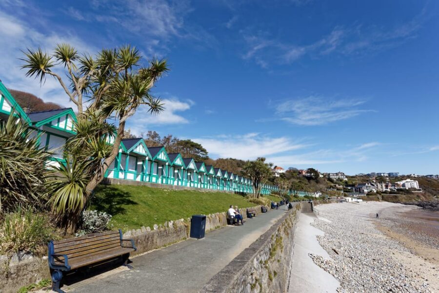 Cardiff: Gower Peninsula's Cliffs & Bays Scenic Day Tour - Optional Relaxation & Return
