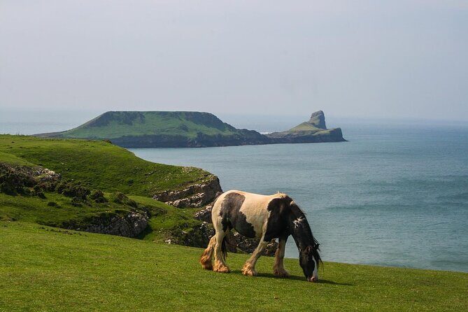 Cardiff: Gower Peninsula's Cliffs & Bays Scenic Day Tour - The Experience from the Traveler’s Perspective