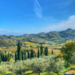 Carmignano: Wine Tour with a Wine Educator - The Sum Up