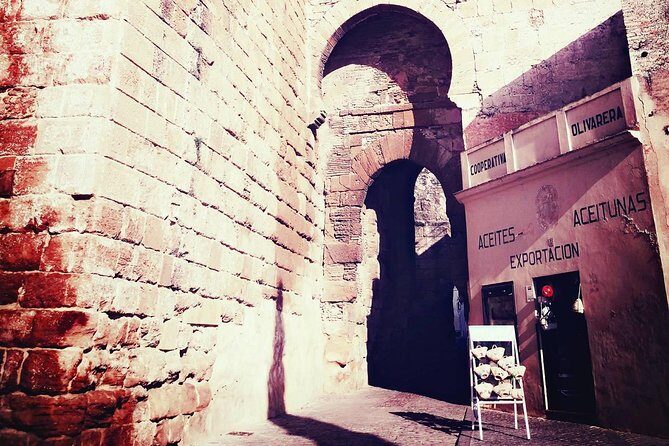 Carmona and Necropolis: Guided Day Tour from Seville - Archaeological Ensemble of Carmona: 2 Hours of Ancient Wonder