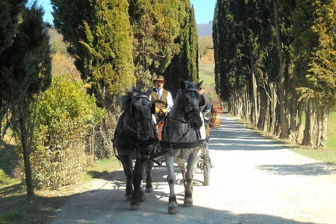 Carriage ride and Lunch in a typical restaurant in the heart of Chianti - The Details That Matter