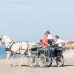 CARRIAGE Ride On The Beach (Rosário Beach) - Detailed Itinerary Breakdown